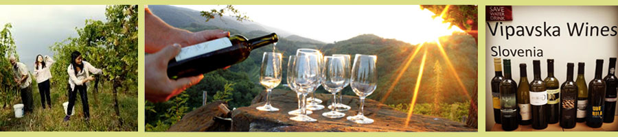 Wine Regions of Slovenia - Vipava Valley - Sloveniaforyou's guide to vino