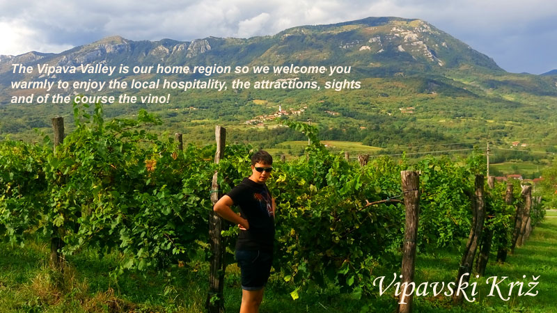 Wine Regions of Slovenia - Vipava Valley - Sloveniaforyou's guide to ...