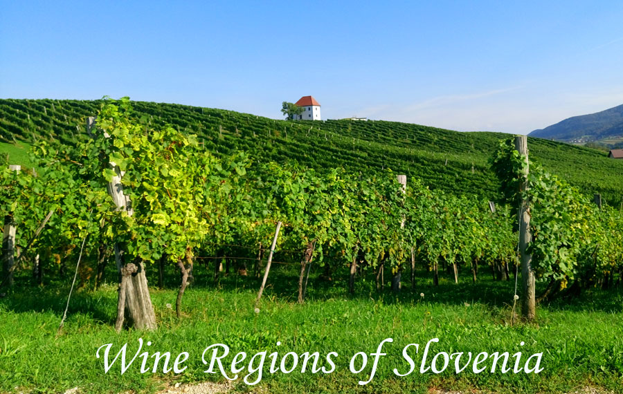Wine Regions of Slovenia - Sloveniaforyou's guide to vino in Slovenia