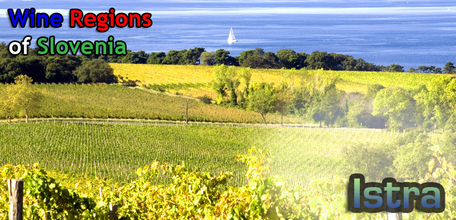 Wine Regions of Slovenia - Istra-Istria - Sloveniaforyou's guide to ...