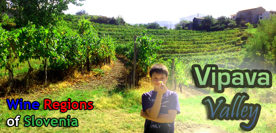 Wine Regions of Slovenia - Vipava Valley - Sloveniaforyou's guide to vino